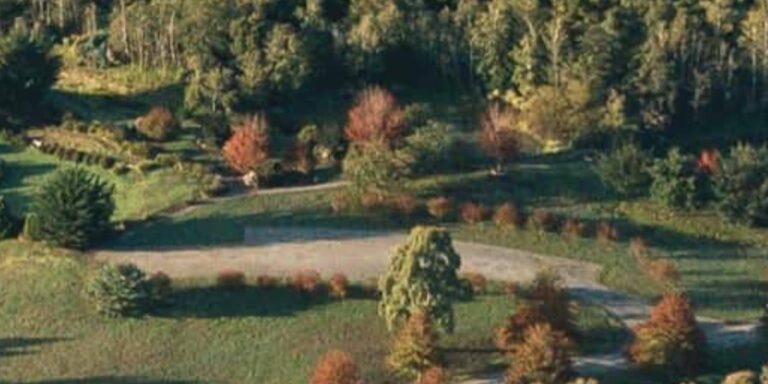 Memorial Forest, Cremation Tree Planting, Plant a Memorial Tree