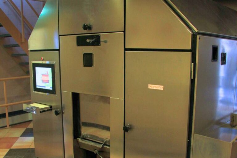 Cremation Ashes Composition: Full Breakdown - Living Legacy Forest