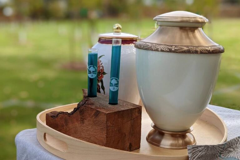 Cremation Ashes Composition: Full Breakdown - Living Legacy Forest