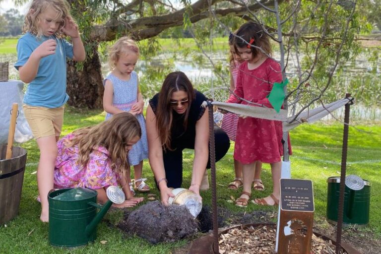 Cremation Ashes Composition: Full Breakdown - Living Legacy Forest